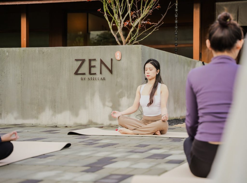 Experience - Zen by Stellar